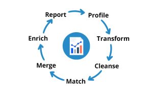 CRM Data Enrichment | InfoClutch